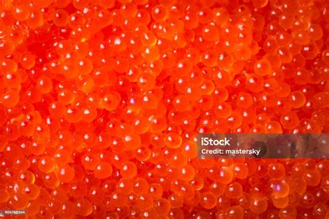 원시 연어송어 물고기 계란 레드 캐 비어 바다 음식 패턴을 닫습니다 개체 그룹에 대한 스톡 사진 및 기타 이미지 개체 그룹 날것 달걀 Istock