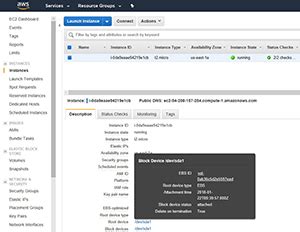 How To Protect Your AWS Images Against Accidental Data Loss Virtualization Review