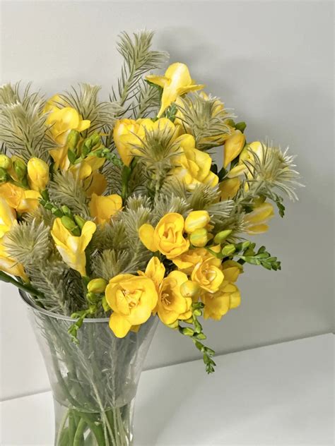 어니스트플라워 스타일링 필리카 속 포근한 향기