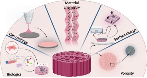 Common Bulk And Surface Modification Approaches Of Metallic Implants To Download Scientific