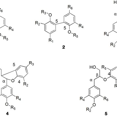 Structure Of Lignin And Lignin Precursors Of H G And S Units In