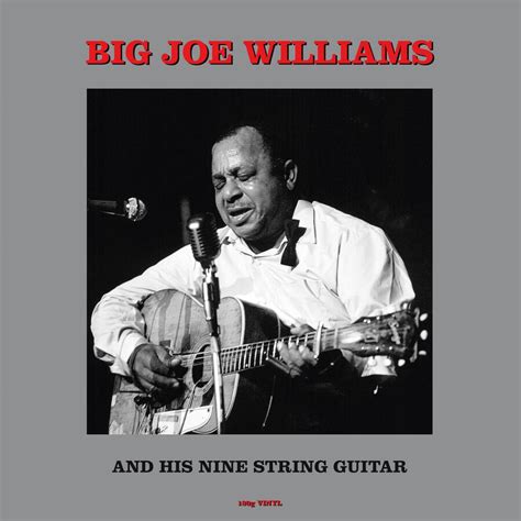 Big Joe Williams And His Nine String Guitar 180gm Vinyl Vinyl Lp