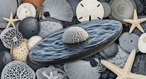 Ecosystem Sustainability Definition → Term