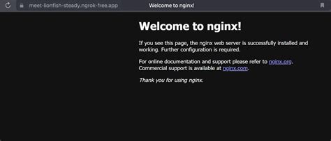 Ngrok Installation Guide How To Set Up Tunnels And Traffic Policies