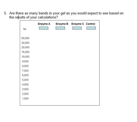 Solved How Many Times Does The Sequence GAATTC Occur In The Chegg
