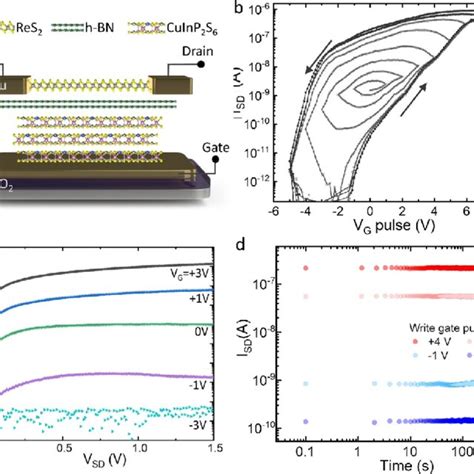 A Schematic Of The Van Der Waals Ferroelectric Field Effect Download Scientific Diagram