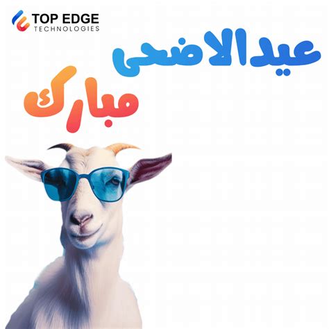 Nadir Ali Khan On Linkedin Hellooo 😎