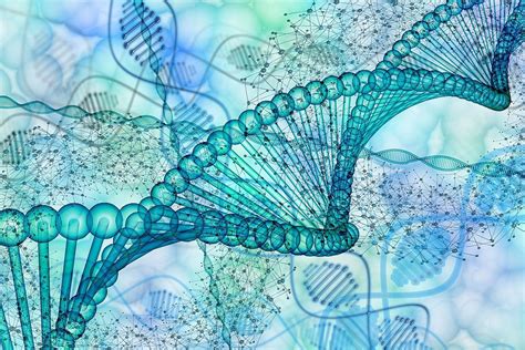 Dna Testing And Nutrigenomics For Menopause Food Fabulous