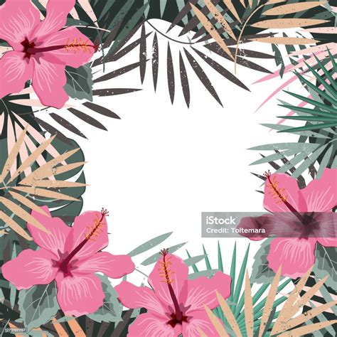 열대 야자수 잎과 히비스커스 꽃과 광장 여름 국경 트로픽 프레임 배경 카드 웹 페이지 배경 인쇄에 대한 벡터 그림 그래픽 프린트에 대한 스톡 벡터 아트 및 기타 이미지
