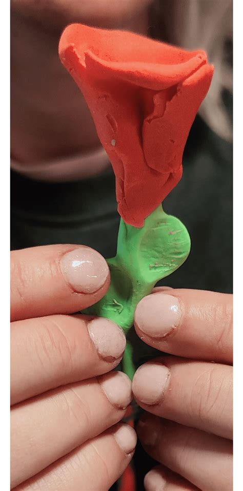 Reverse Cookie Cutter My Wifes Creation Rwhatismycookiecutter