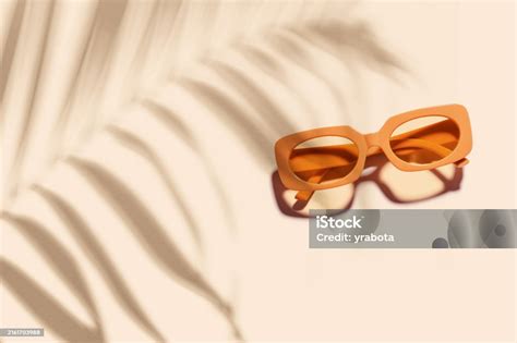 중립 베이지 색 배경에 오렌지 프레임 Copyspace 해변 분위기 여름 분위기 개념 야자 잎 그림자 여름 패션 안경과 트렌디 한 선글라스 안경의 최소 평면도 개념에 대한