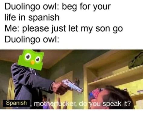 24 Duolingo Memes That Will Find You In Your Sleep