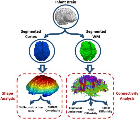 Illustration Of The Proposed Feature Extraction Procedure Download