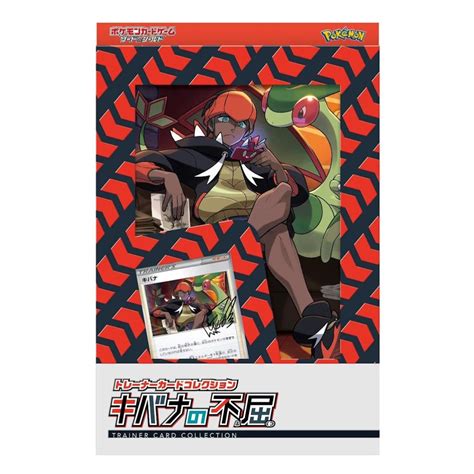 Pokémon Tcg Trainer Card Collection Raihans Indomitability