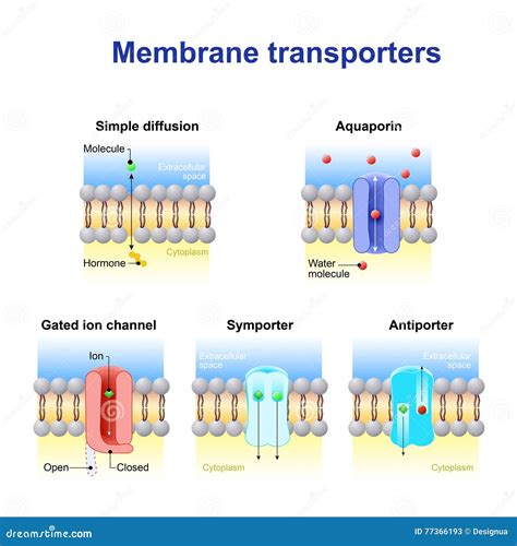 Across Cartoons Illustrations Vector Stock Images 57487 Pictures To Download From