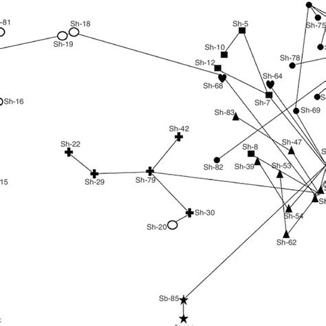 Minimum Spanning Tree Mst And 2d Plot Generated By Principal Download Scientific Diagram