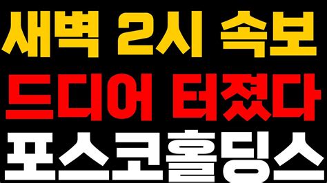 포스코홀딩스주가🔥새벽2시속보 드디어 터졌다 박순혁 기봉이주식 김작가tv 서정덕tv주식임태풍포스코홀딩스주가포스코홀딩스전망posco홀딩스전망 Youtube