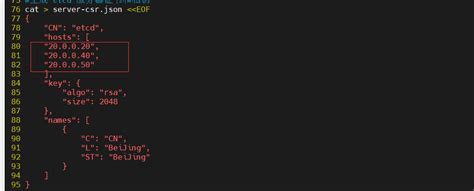 二进制部署k8s集群之master节点和etcd数据库集群（上）master节点与etcd服务如何分开部署 Csdn博客