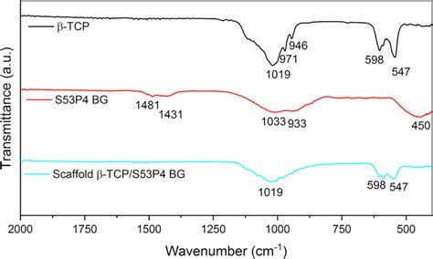 Ftir Spectra Of β‐tcps53p4 Bg Scaffold In Comparison With The Powders