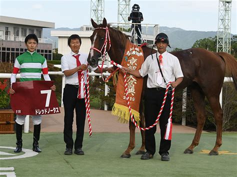【京都大賞典想定】キセキ、アルバート、グローリーヴェイズなど一流中長距離馬が覇を競う 競馬ニュース Netkeiba