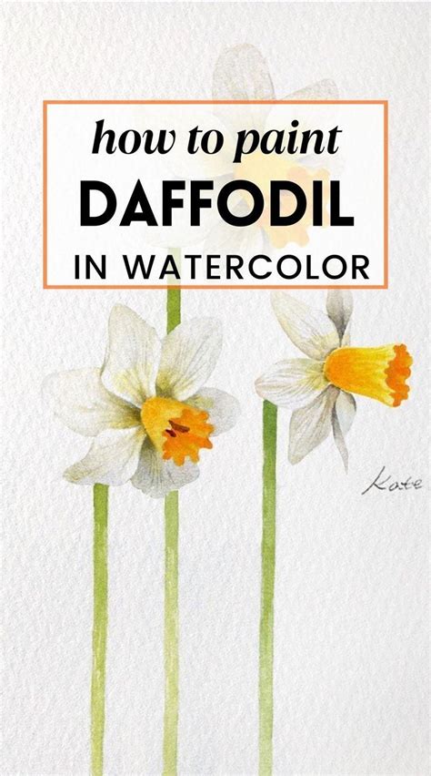 How To Draw Daffodil Flowers For Beginners In 2024 Draw Flowers