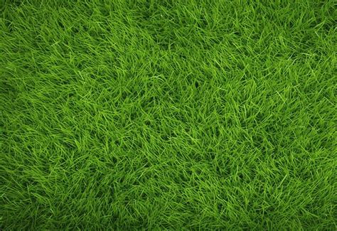 Grass Bg Images Free Download On Freepik