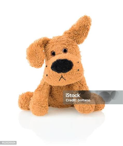 귀여운 강아지 인형 그림자 반사와 흰색 배경에 고립 장난이 사랑 스러운 밝은 갈색 개 화이트 언더레이에 앉아 봉제 인형에 대한