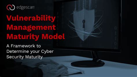 Edgescan On Linkedin Vulnerabilitymanagement Cybersecurity Business