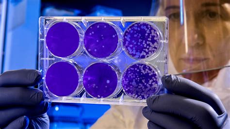 Become A Virus Fighter Learn How To Increase Your Natural Killer Cells