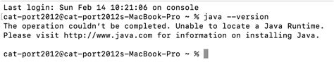 java 6 runtime legacy version for macos big sur 11 3 macrumors forums