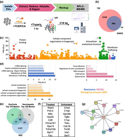 Mass Spectrometry Ms Analysis Of Nees A Schematic Representation