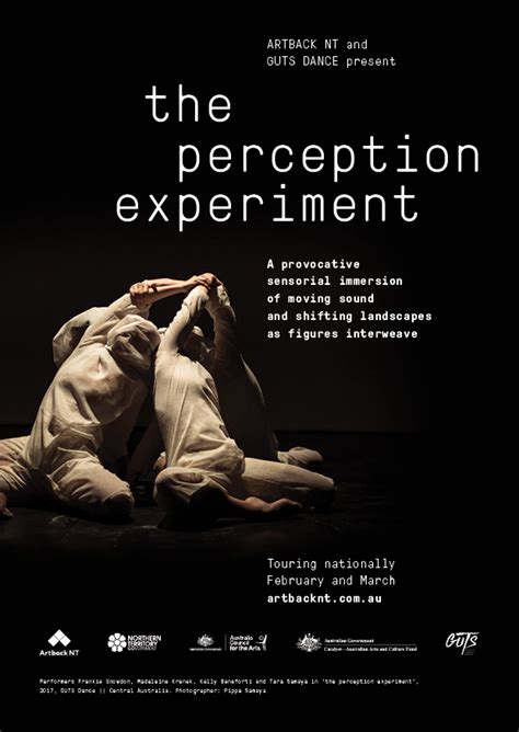 The Perception Experiment Artback Nt