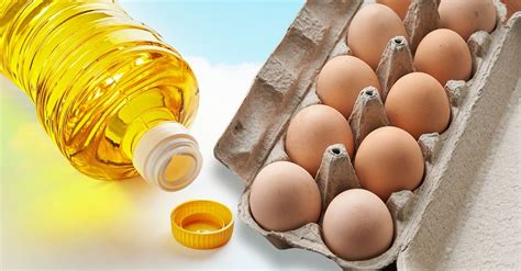 ხრიკი მზესუმზირის ზეთით როგორ გავზარდოთ კვერცხის შენახვის ვადა რჩევები ვივიენისგან