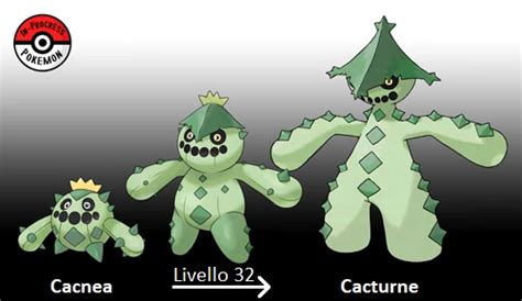 Cacnea Analisi Pokémon Wiki Fandom