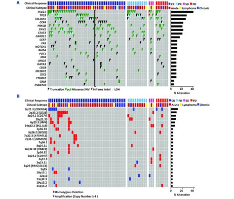 Driver Gene Alterations In Adult T Cell Leukemialymphoma Cells A Download Scientific