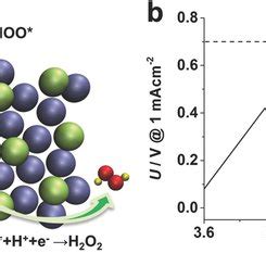 A Configuration Scheme Of The H2O2 Generation Device In An Download Scientific Diagram
