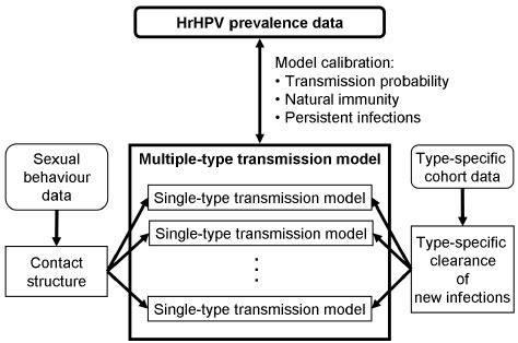 Data And Modelling Overview The Parameters Of The Sexual Contact Download Scientific Diagram