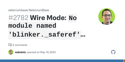 Wire Mode `no Module Named Blinkersaferef` If Installing `selenium Wire` Alone · Issue