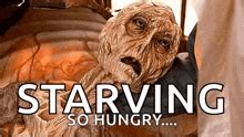 Hungry Meme S Tenor