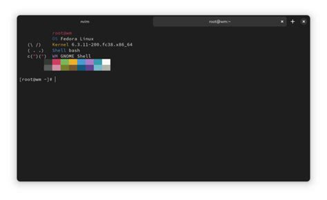 17 Aplicativos De Terminal Linux Que Vale A Pena Conhecer
