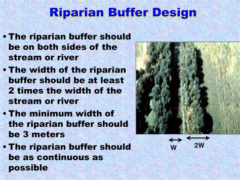 PPT Introduction To Riparian Buffers PowerPoint Presentation Free Download ID 295080