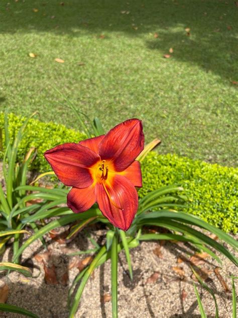 Data Cleaning Excelr Codestata Computers And Tech Parts And Accessories Software On Carousell