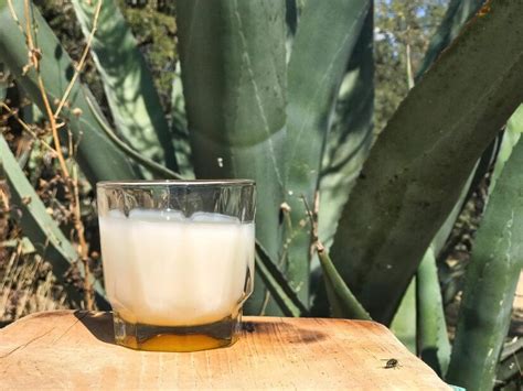 Premium Photo Authentic Mexican Drink Pulque Made From The Maguey Plant