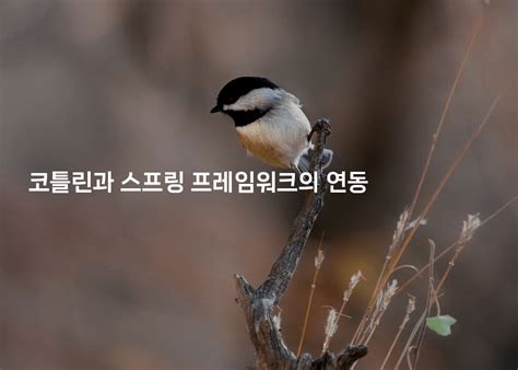 코틀린린