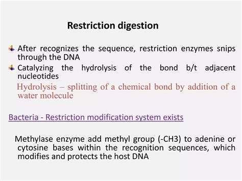 Restriction Endonucleases Pptx
