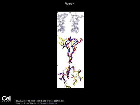 Volume 15 Issue 11 Pages November 2007 Ppt Download