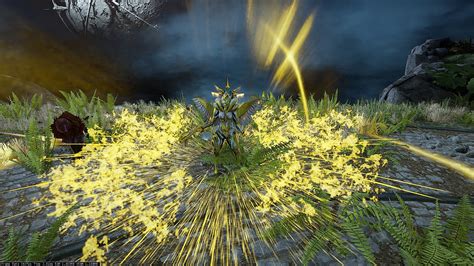 Just Wanted To Share My Saryn Fashion Rwarframe