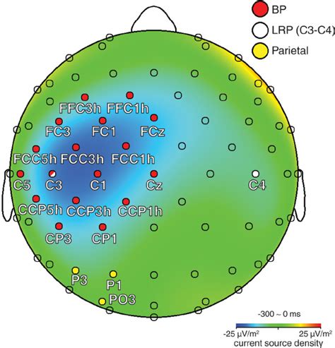 Eeg Recording And Analyses Montage Eighty Scalp Electrodes Were