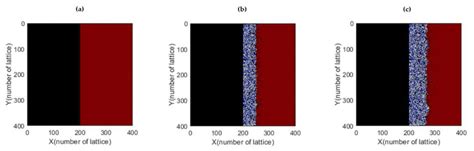 Cellular Automata Modeling As A Tool In Corrosion Management