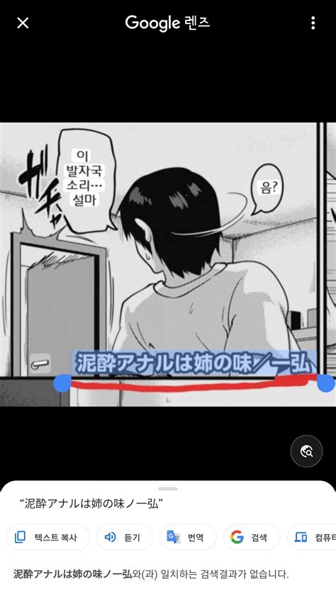 [후방]술 취한 누나 만화 유머 게시판